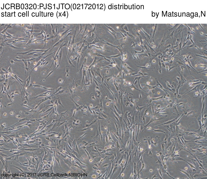 -Detailed Information [JCRB0320]-