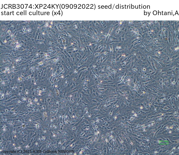 -Detailed Information [JCRB3074]-