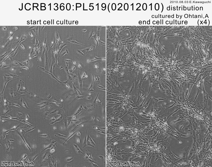 -Detailed Information [JCRB1360]-